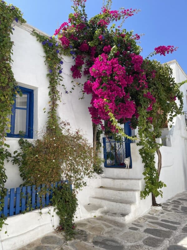 Two Week Greek Island Vacation - Erin Lives Whole